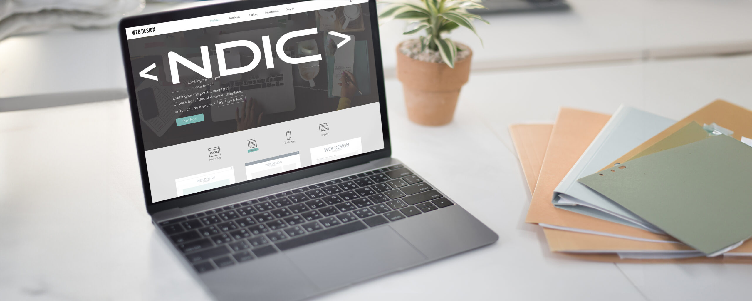 Website Strategy - NDIC